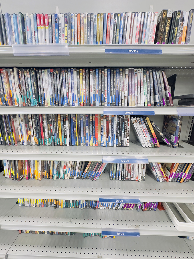 DVD shelves packed with forgotten films and bygone bingeworthy shows. Physical media lives on in this digital detox paradise of plastic cases.