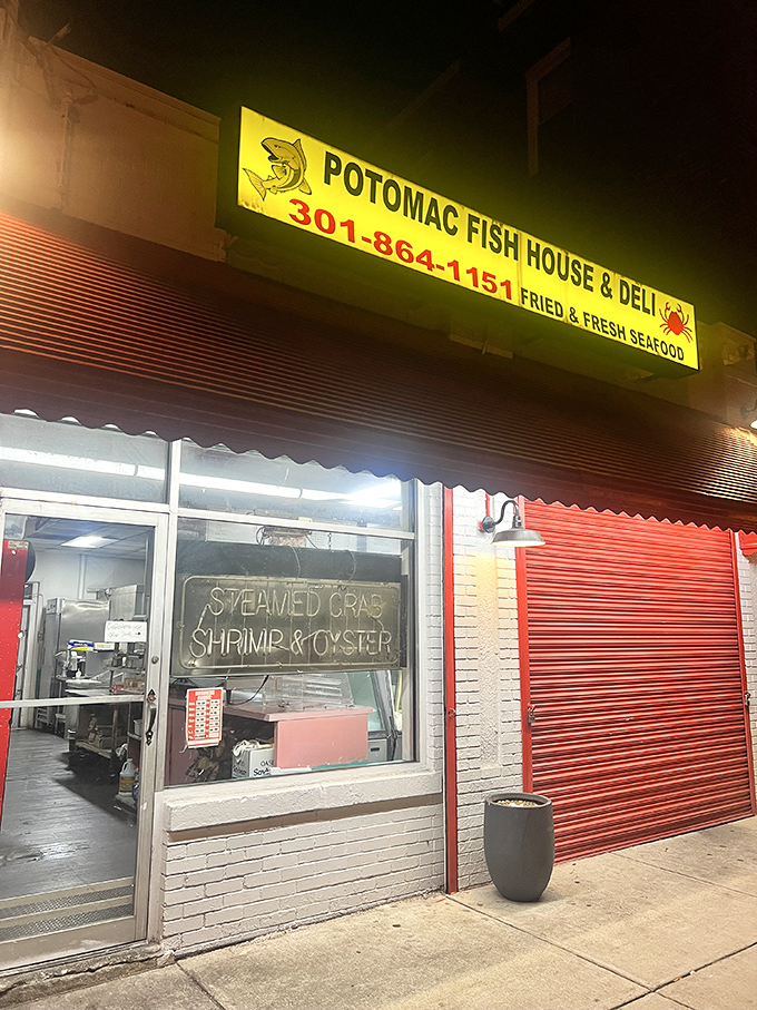 As night falls, the yellow sign glows like a beacon for seafood pilgrims. Some lighthouses guide ships; this one guides appetites.