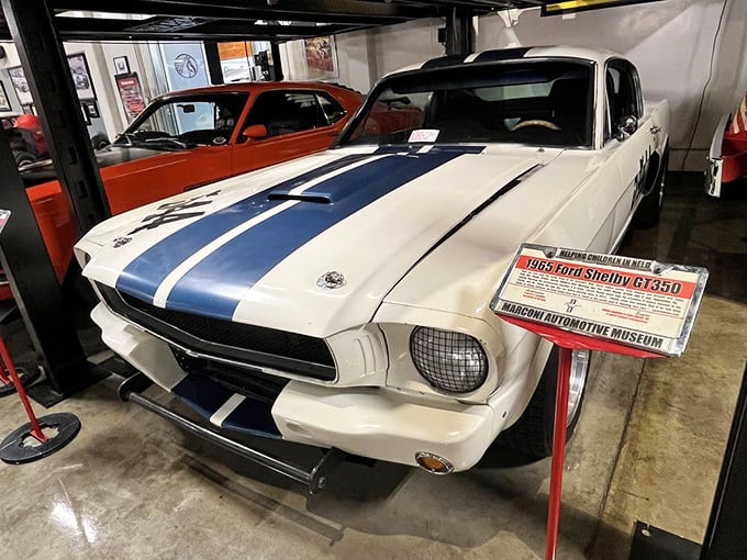 The 1965 Shelby GT350: American muscle with a British accent. This automotive legend still looks ready to tear up Pacific Coast Highway at a moment's notice.