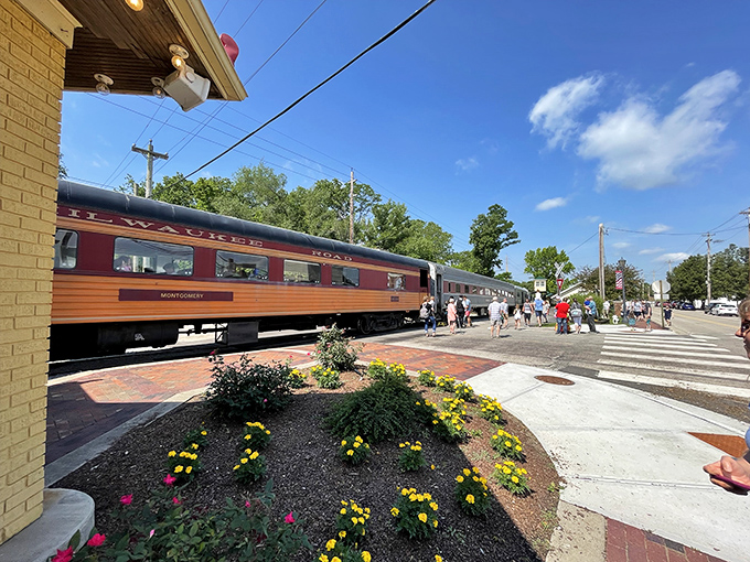 All aboard the Lebanon Mason Monroe Railroad, where vintage cars offer a journey through time as much as through countryside.
