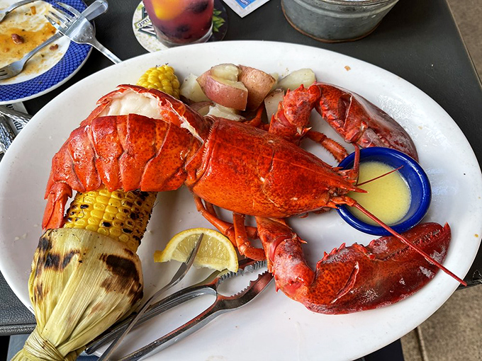 When a whole lobster arrives at your table, it's not just dinner &ndash; it's an event. Complete with corn and the tools for your delicious treasure hunt.