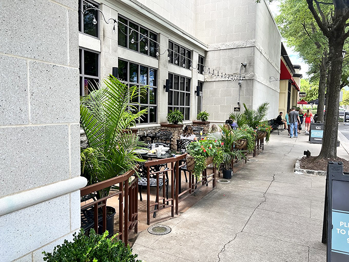 Al fresco dining done right—lush greenery and fresh air elevate the experience. Nature and nurture, deliciously combined.