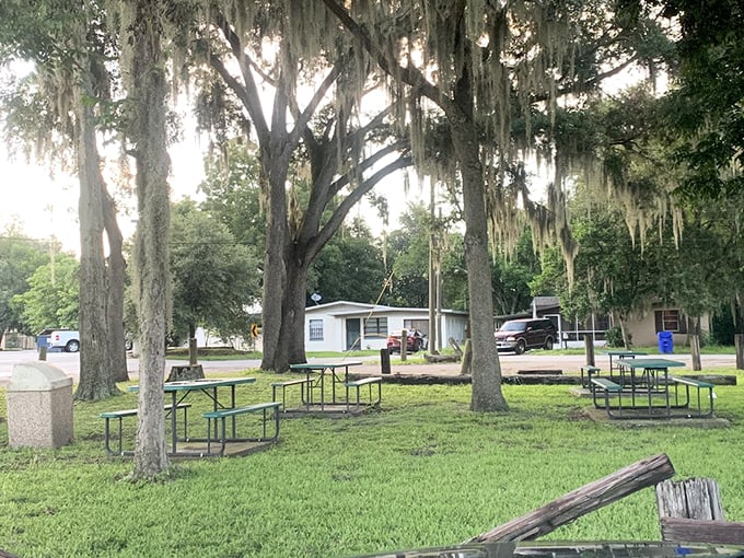 Spanish moss drapes over picnic tables where strangers become friends, united by the universal joy of great food.