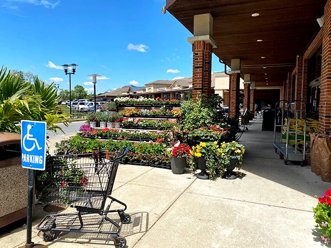 Spring has sprung outside Janssen's, where even the shopping carts look eager to be filled with gourmet goodies.