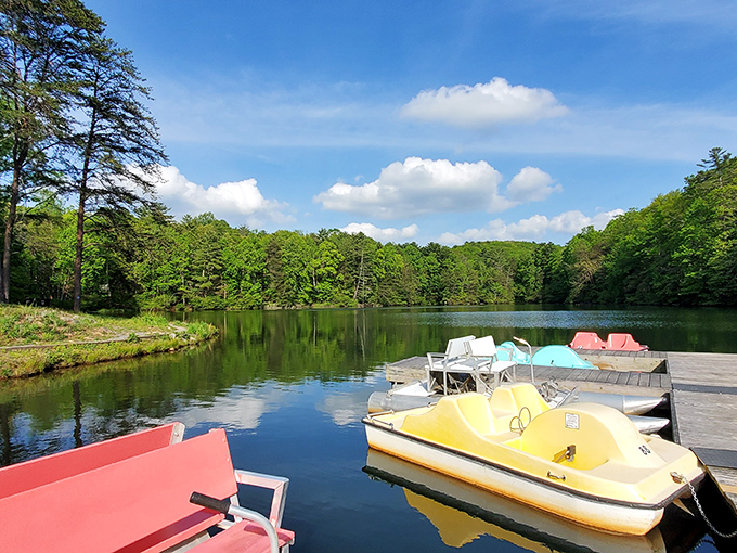 These cheerful paddle boats bring retro vacation vibes to the tranquil mountain lake. Like a slow-motion water chase scene from a 1980s summer camp movie.
