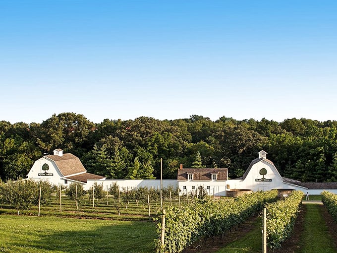 Perfectly aligned rows of grapevines and apple trees create a pastoral symphony that practically begs you to plan a harvest visit.