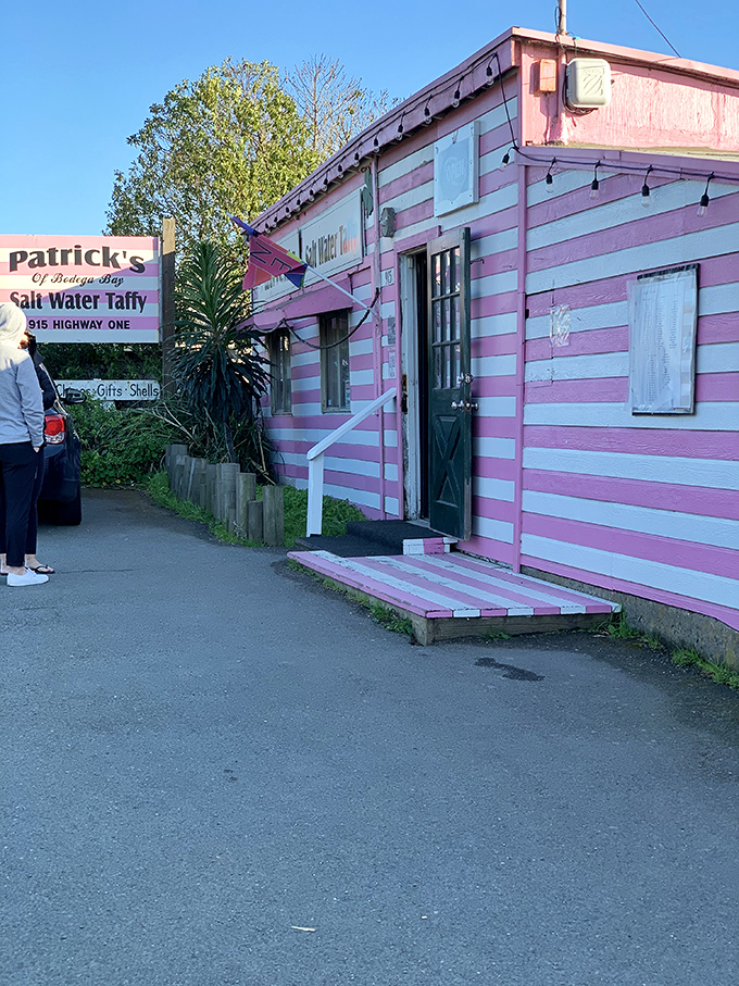 Patrick's Salt Water Taffy shop, painted in pink stripes that would make Wes Anderson proud, proves that sometimes the sweetest stops come in the quirkiest packages.