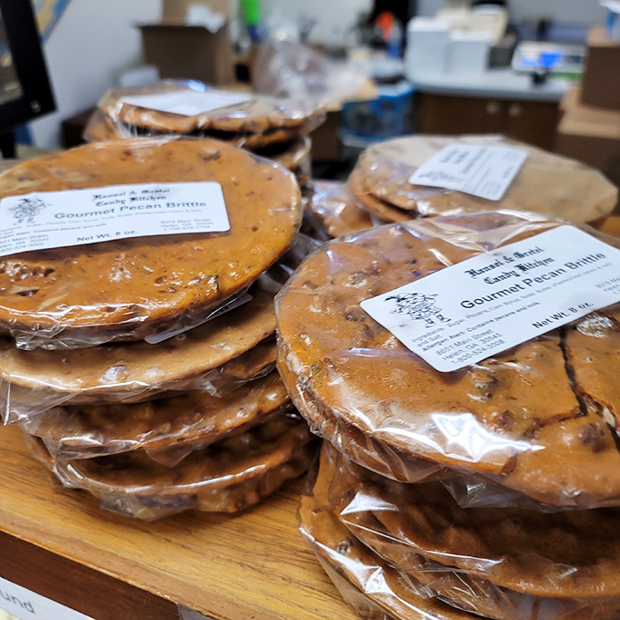Brittle that's anything but fragile in flavor! These golden discs of pecan-studded perfection await their destiny as road trip companions.