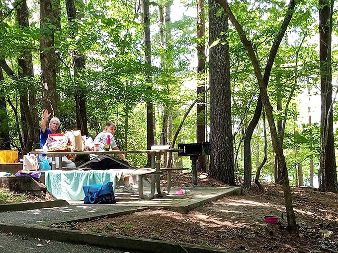 These picnickers found the ultimate lunch spot, where dappled sunlight seasons every sandwich with a touch of magic.