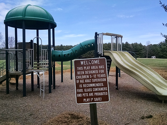 Childhood joy engineered in green and brown. This playground has launched a thousand "higher, daddy!" requests since installation.