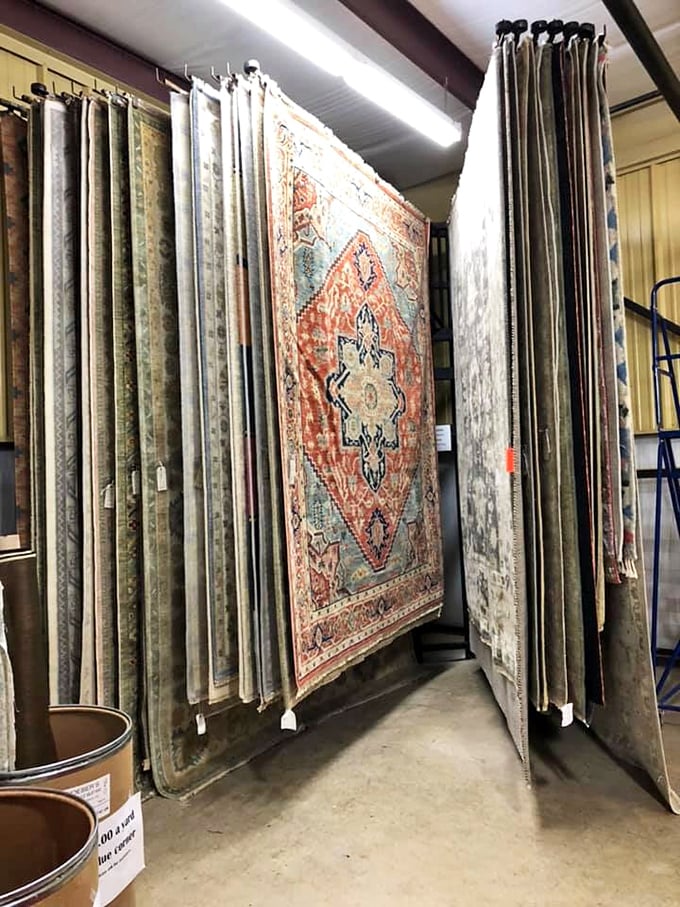 Rug gallery that would make any floor feel underdressed. These aren't just rugs&mdash;they're conversation pieces waiting to happen.