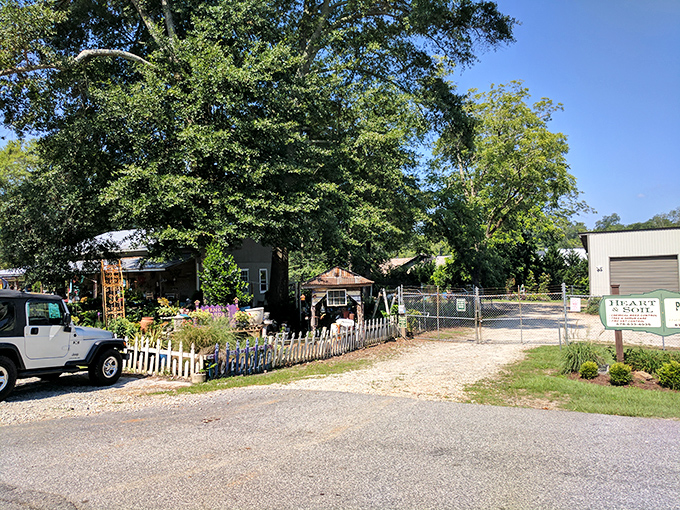 Garden centers in Senoia don't just sell plants &ndash; they create inspiration. This charming outpost proves Southern green thumbs take their flora seriously.