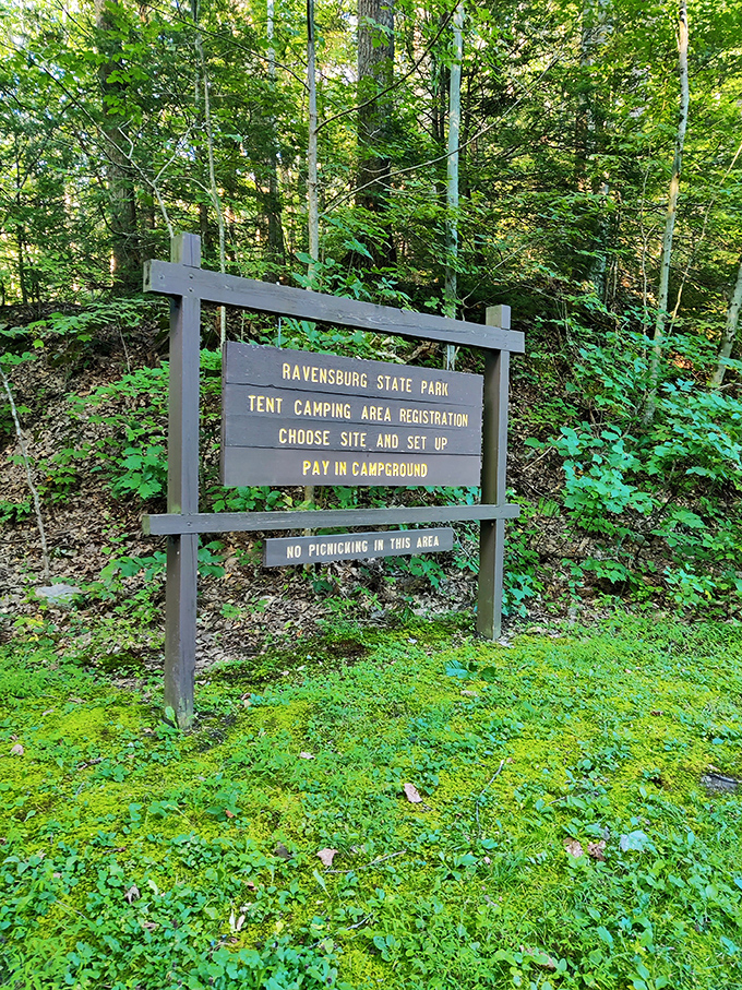 Camping instructions that haven't changed since before TikTok, smartphones, or even color TV. Some things are timeless for a reason.