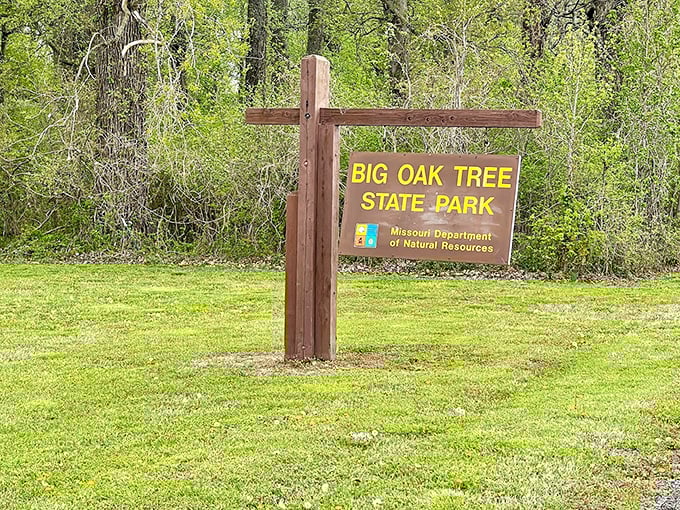 Welcome to botanical greatness! This entrance sign marks your departure from ordinary landscapes into Missouri's remarkable forest sanctuary.