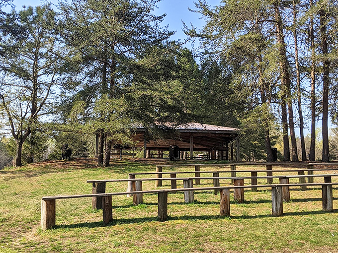 Tilghman Park's rustic pavilion and wooden benches offer a peaceful retreat where generations of Chandler families have gathered for decades.