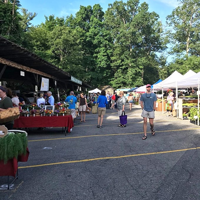 The Watauga County Farmers Market buzzes with the energy of people who wake at ungodly hours to bring you vegetables that taste nothing like supermarket imposters.