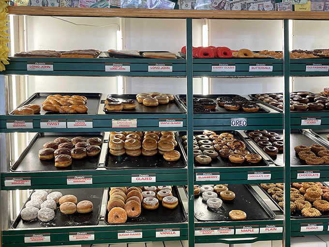A museum of donut artistry, meticulously labeled and arranged. Like the Louvre, but with more sprinkles and significantly fewer tourists.