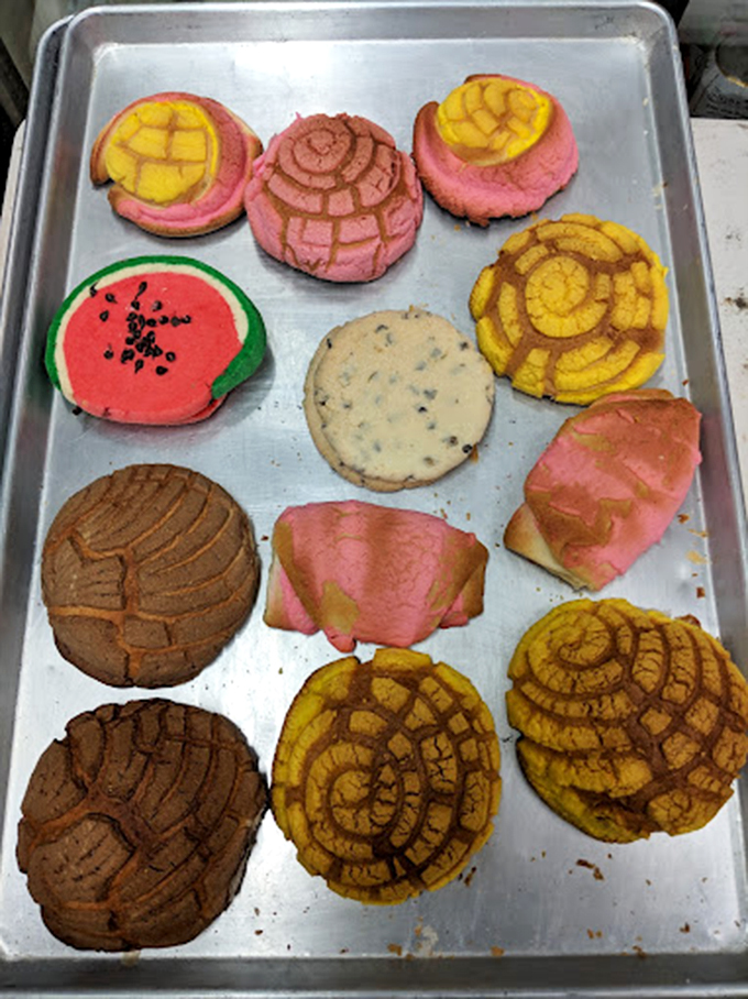 The candy display is organized chaos in the best possible way &ndash; each compartment offering a different sweet adventure that makes you feel like a kid with a pocket full of quarters.