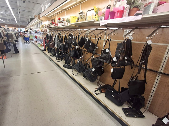 Handbag heaven awaits the patient browser. From practical totes to statement clutches, yesterday's accessories become tomorrow's vintage finds at a fraction of retail prices.