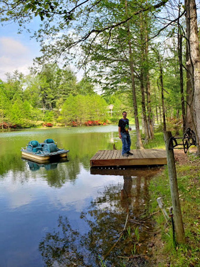 Fishing for tranquility? This wooden dock and peaceful pond offer the perfect spot to cast your worries into the reflective waters.
