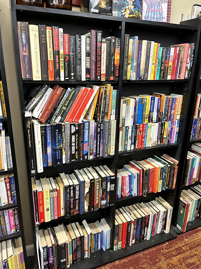 Literary treasures arranged in satisfying rows – a paper playground where bestsellers of yesteryear await rediscovery by curious new readers.