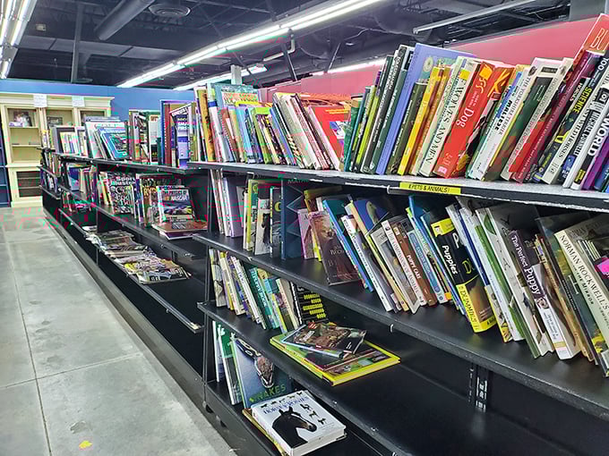 Books stacked like patient time travelers, each spine a portal to worlds created before streaming services existed.