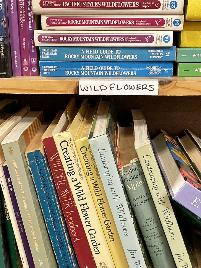 The wildflower section blooms with field guides. For nature lovers, these books are the paper equivalent of a mountain hike.