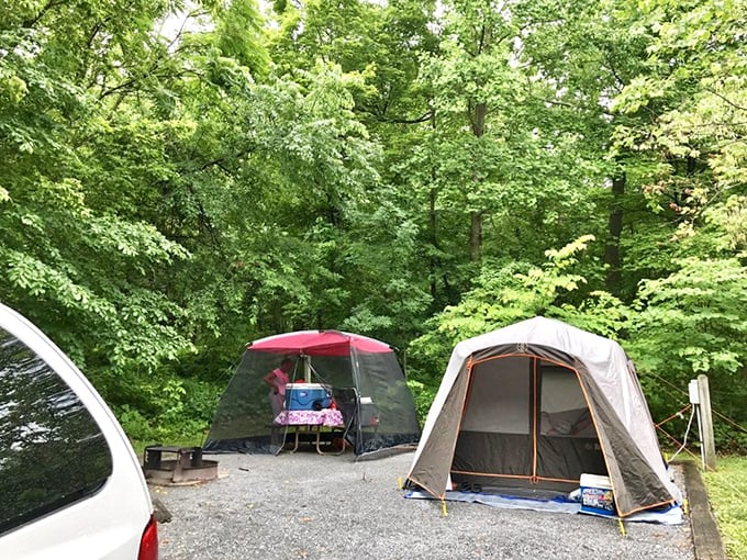 Campsite real estate: where "location, location, location" means being footsteps from morning coffee with a side of birdsong.