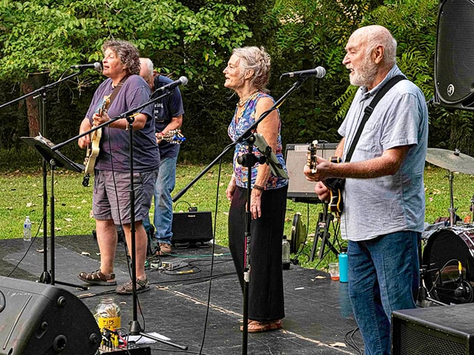 Live music under the trees? Yes, please! This backyard-style concert is proof that good tunes and good company never go out of style. Who needs a stadium when you have soul?