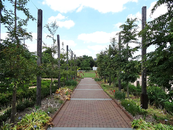 A brick-lined pathway flanked by wooden posts creates a garden corridor of possibility&mdash;like the botanical version of the yellow brick road.