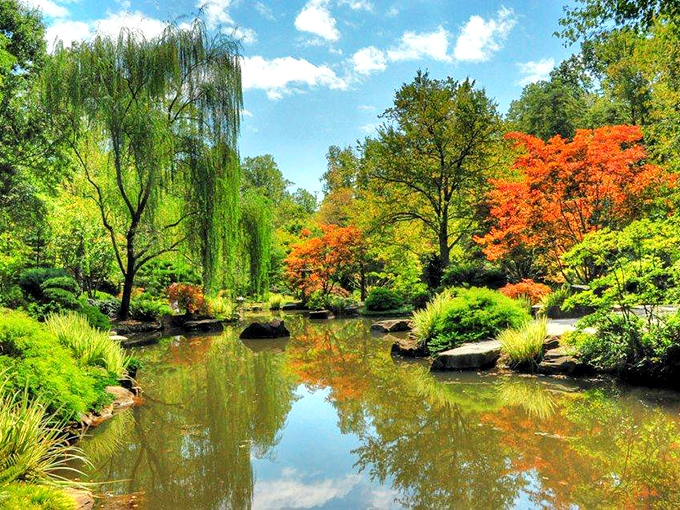 Summer serenity perfected: weeping willows and fiery maples create a peaceful sanctuary around this reflecting pond that screams "sit here immediately!"