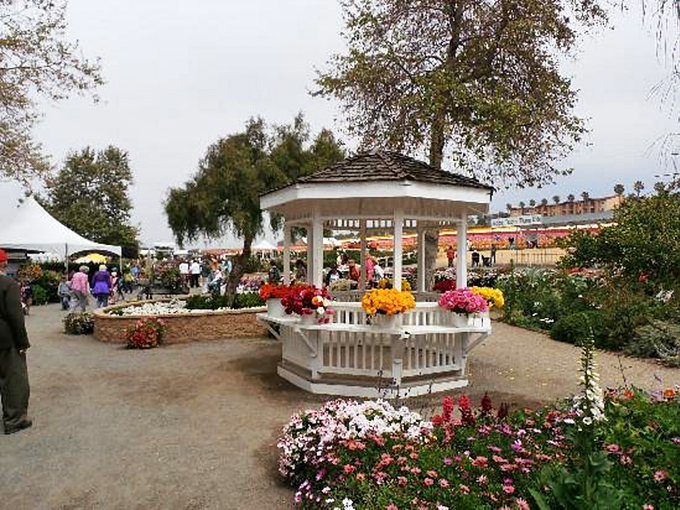 The white gazebo stands as a calm center amidst the floral chaos&mdash;like finding the eye of a very beautiful storm.
