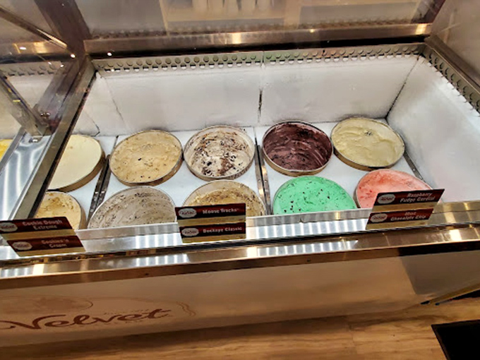 Ice cream flavors lined up like edible paint swatches, each promising a different kind of happiness in a cone or cup.