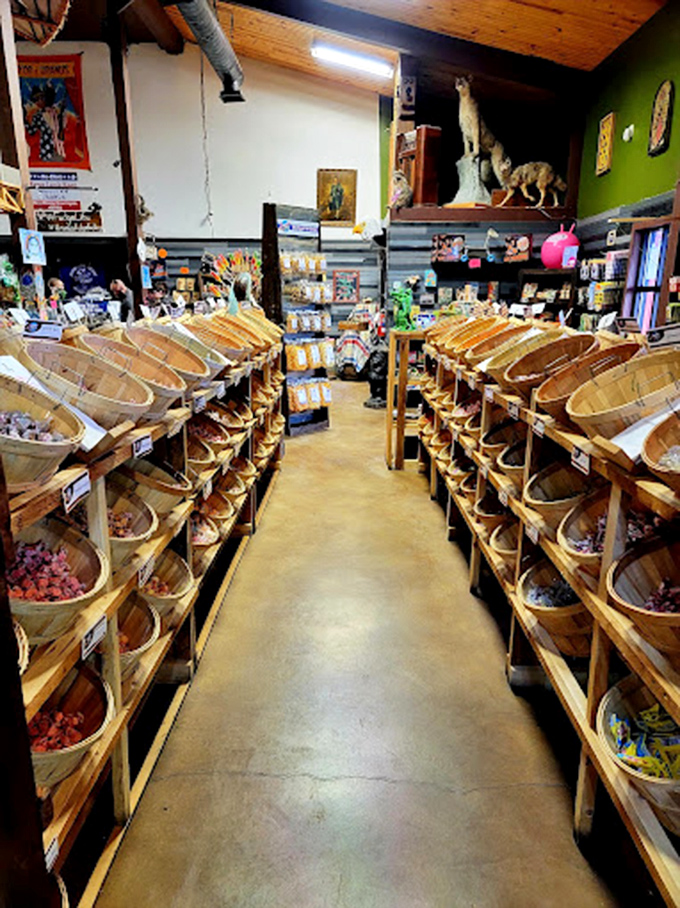 Wooden barrels create a rustic candy alley where visitors can scoop their own sweet treasures. The green walls and corrugated metal accents maintain the frontier trading post vibe.