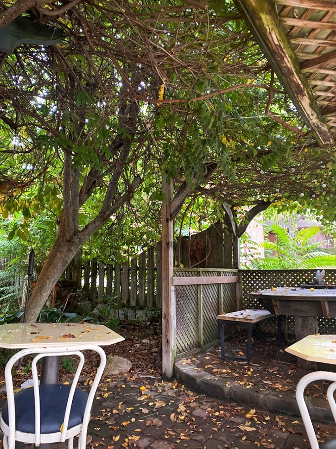 Dappled sunlight filters through leafy branches in the outdoor dining area, where fallen leaves create nature's most perfect seasonal carpet.