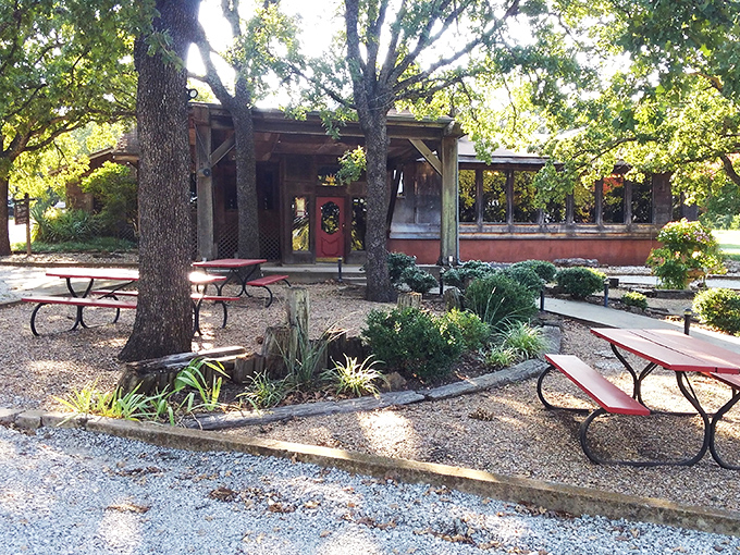 Outdoor seating under mature trees offers nature's air conditioning. These picnic tables have hosted everything from first dates to family reunions.