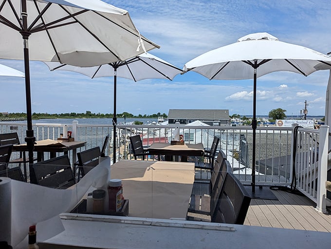 Waterfront dining that reminds you why people pay ridiculous amounts for coastal real estate. Some views simply can't be priced.
