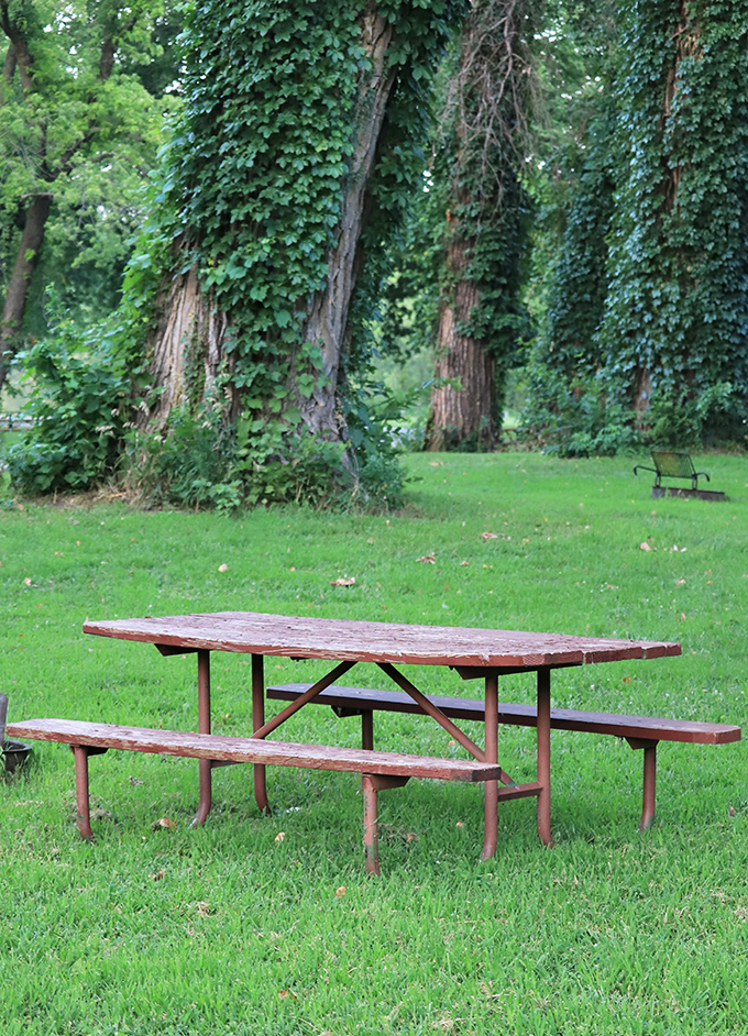 This weathered picnic table has hosted more meaningful conversations and family memories than most therapists' offices or dining rooms.