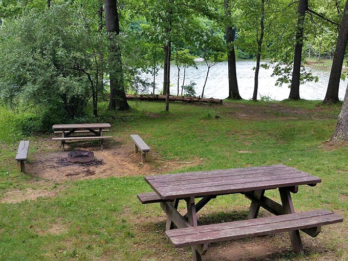 Picnic tables positioned for maximum nature-gazing. The original outdoor dining experience&mdash;no reservations required, million-dollar view included.