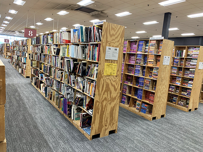 Books as far as the eye can see. This isn't shopping; it's a literary expedition requiring comfortable shoes and unlimited time.