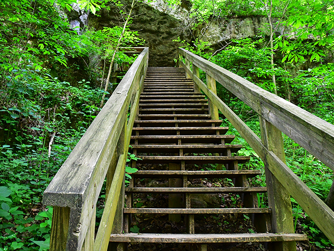 Stairway to somewhere wonderful&mdash;each step through Meramec's lush wilderness promises views that no corner office could ever compete with.