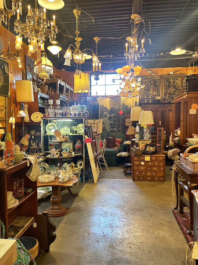 Illumination innovation through the ages. These hanging chandeliers transformed from necessity to art form, each with its own personality.