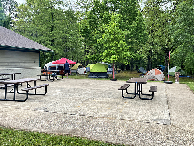 Community camping at its finest &ndash; where strangers become friends over shared picnic tables and campfire stories.