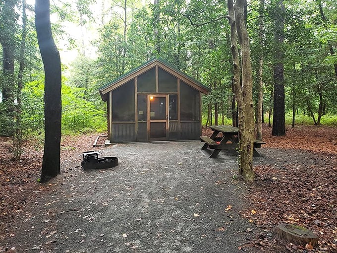 The screened cabin&mdash;where you can commune with nature while maintaining a strict "no bugs in my sleeping bag" policy.