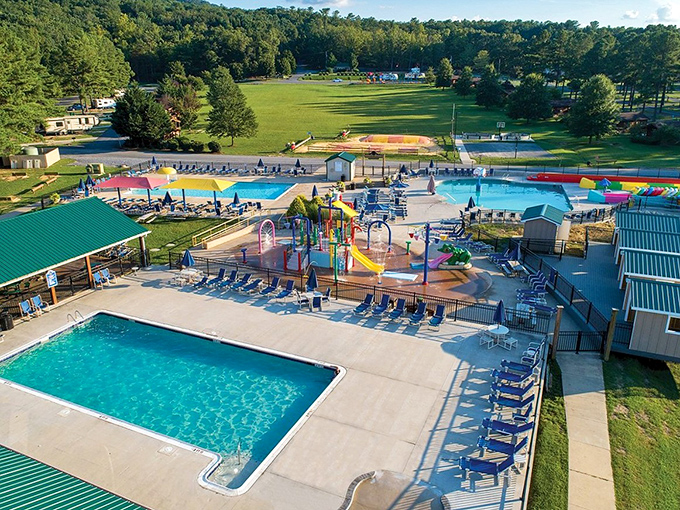 Luray's water park proves that adults still squeal with childlike delight when racing down slides. Dignity is overrated when there's splashing to be done.