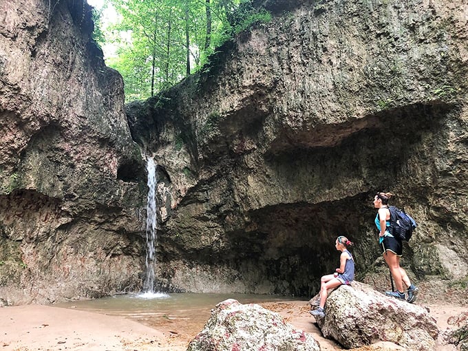 Nature's architecture impresses more than any human design, with these ancient rock formations creating Mississippi's own miniature oasis.
