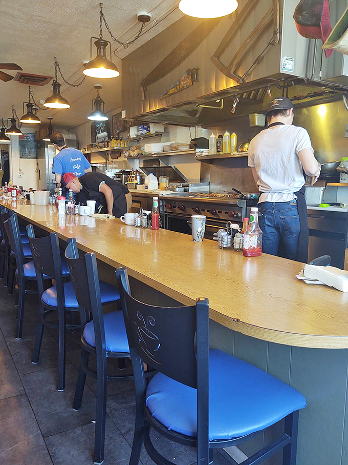 The breakfast counter &ndash; where magic happens. These kitchen maestros conduct symphonies of sizzling and flipping that result in edible masterpieces.
