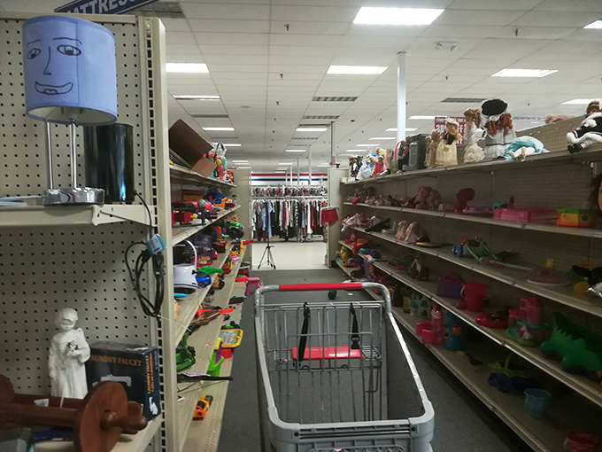Toys and knickknacks line the shelves in this narrow aisle, where childhood nostalgia meets bargain-hunting adult reality.