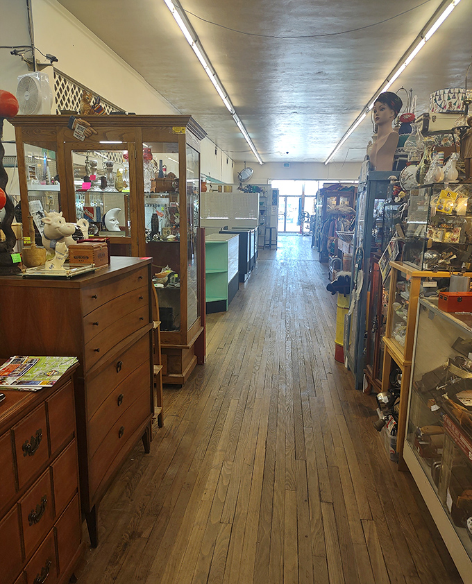 Narrow aisles create intimate treasure hunting&mdash;where every turn reveals another potential "where have you been all my life?" moment.