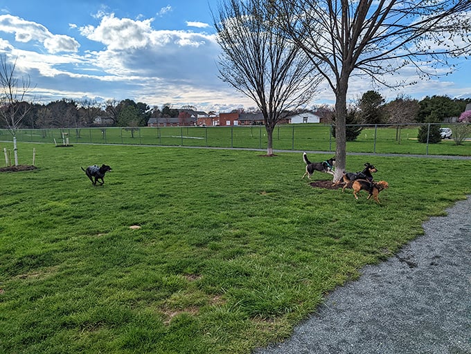 Even four-legged visitors find their happy place in Chestertown, where this dog park provides the ultimate canine social network&mdash;no smartphones required.